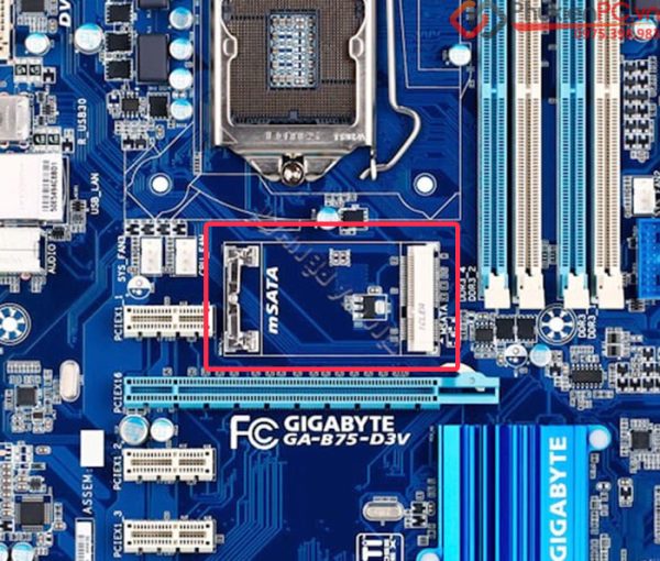 Cách phân biệt ổ cứng SSD mSATA, M2 SATA, M2 NVMe, Micro SATA